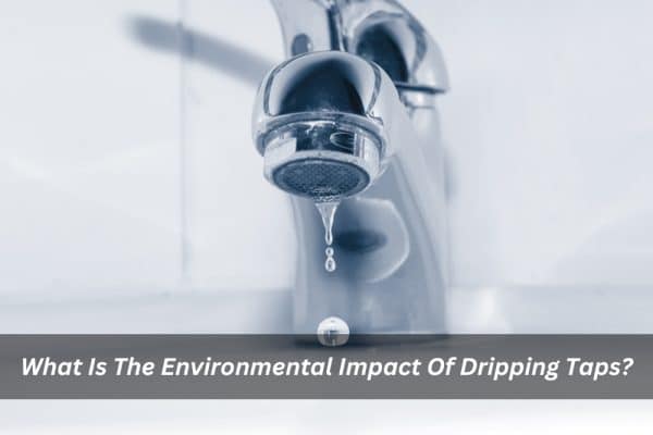 What Is The Environmental Impact Of Dripping Taps?